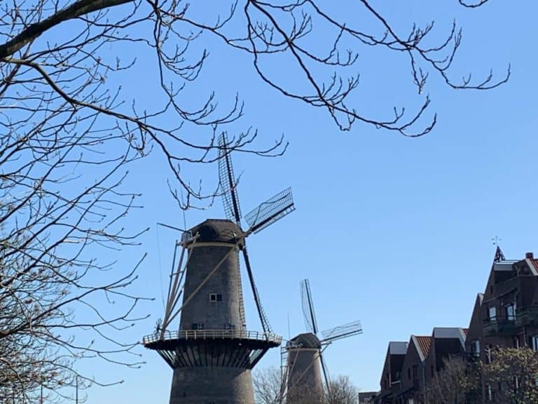 Dutch Windmills In The Netherlands: History, Uses And Famous Sites